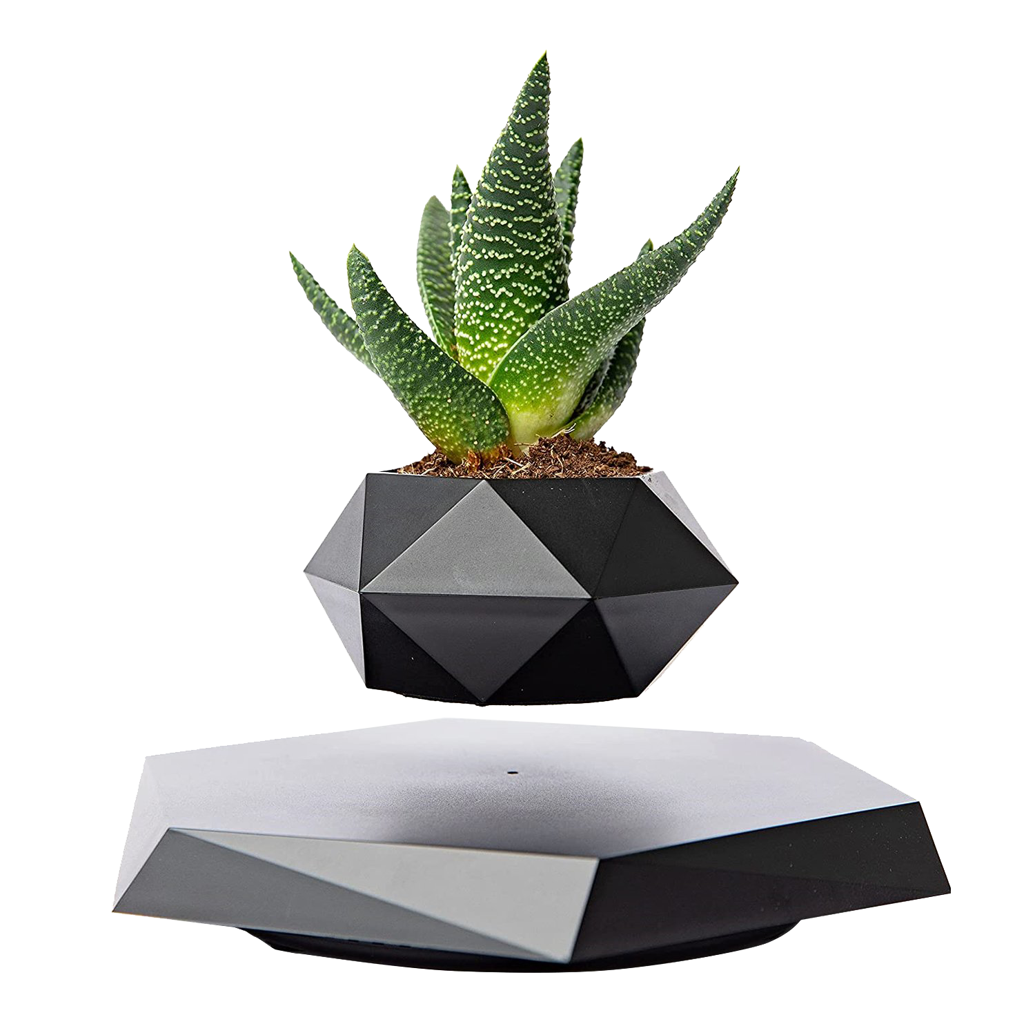 LANGTU magnetic levitation potted Black rotating flower pot – LANGTU Store