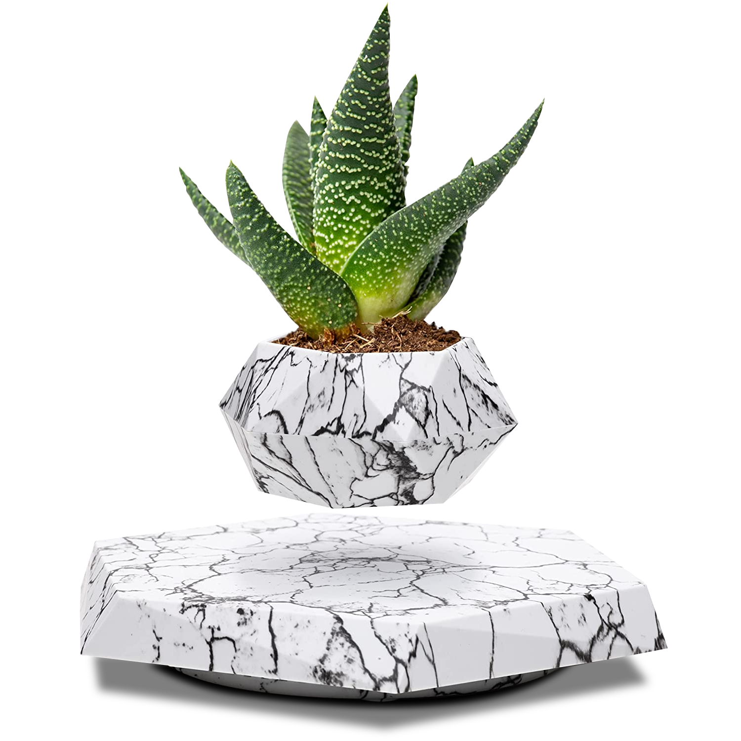 LANGTU magnetic levitation potted Marble rotating flower pot – LANGTU Store