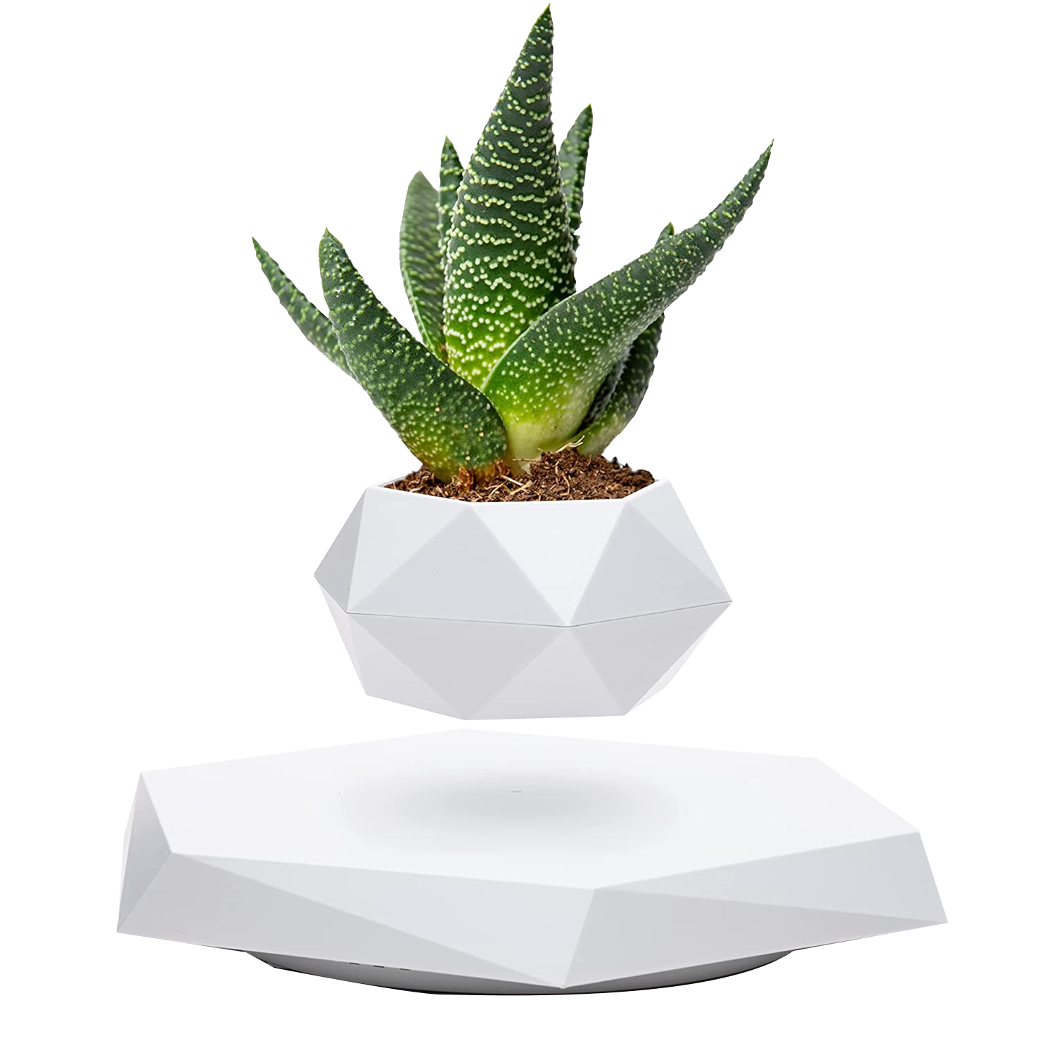 LANGTU magnetic levitation potted white rotating flower pot – LANGTU Store